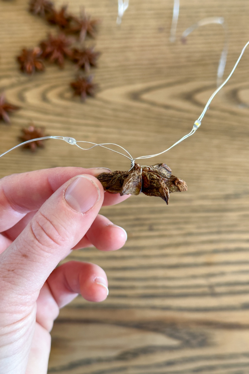 Twinkle Star Anise Christmas Garland | Tylynn M